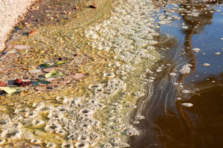 30+ Heartbreaking Water Pollution Images