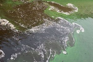 30+ Heartbreaking Water Pollution Images