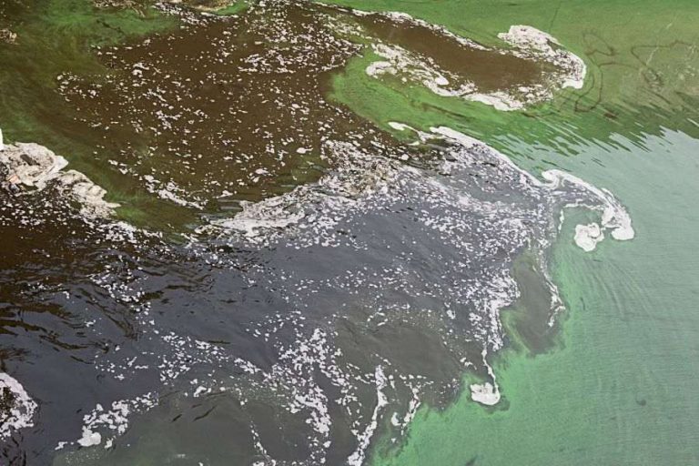 30+ Heartbreaking Water Pollution Images
