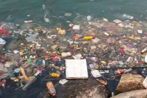 30+ Heartbreaking Water Pollution Images