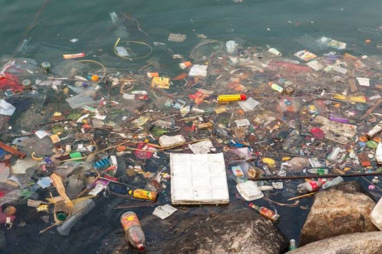30+ Heartbreaking Water Pollution Images