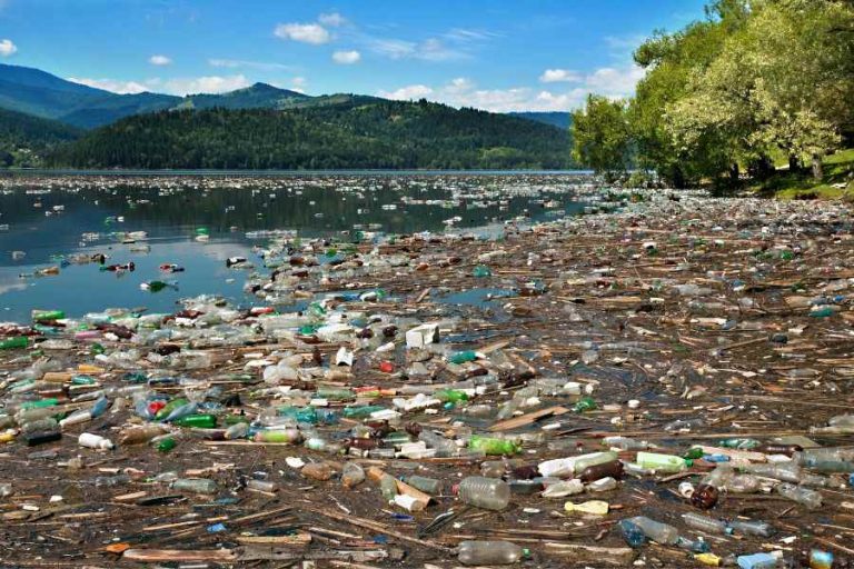 30+ Heartbreaking Water Pollution Images