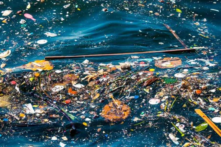 30+ Heartbreaking Water Pollution Images