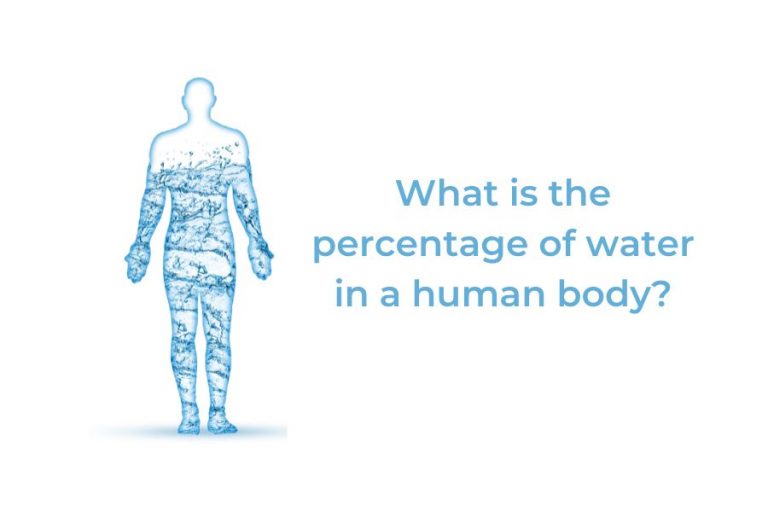 What Is The Percentage Of Water In A Human Body?