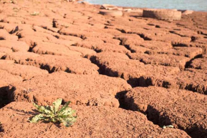 Understanding Water Scarcity: Causes, Effects, And Solutions