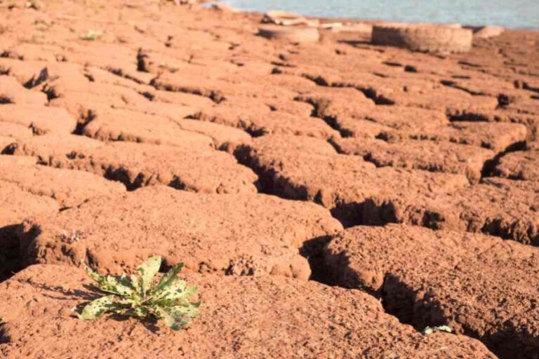 Understanding Water Scarcity: Causes, Effects, And Solutions