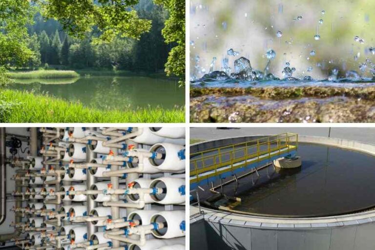 Discover 6 Essential Sources Of Water